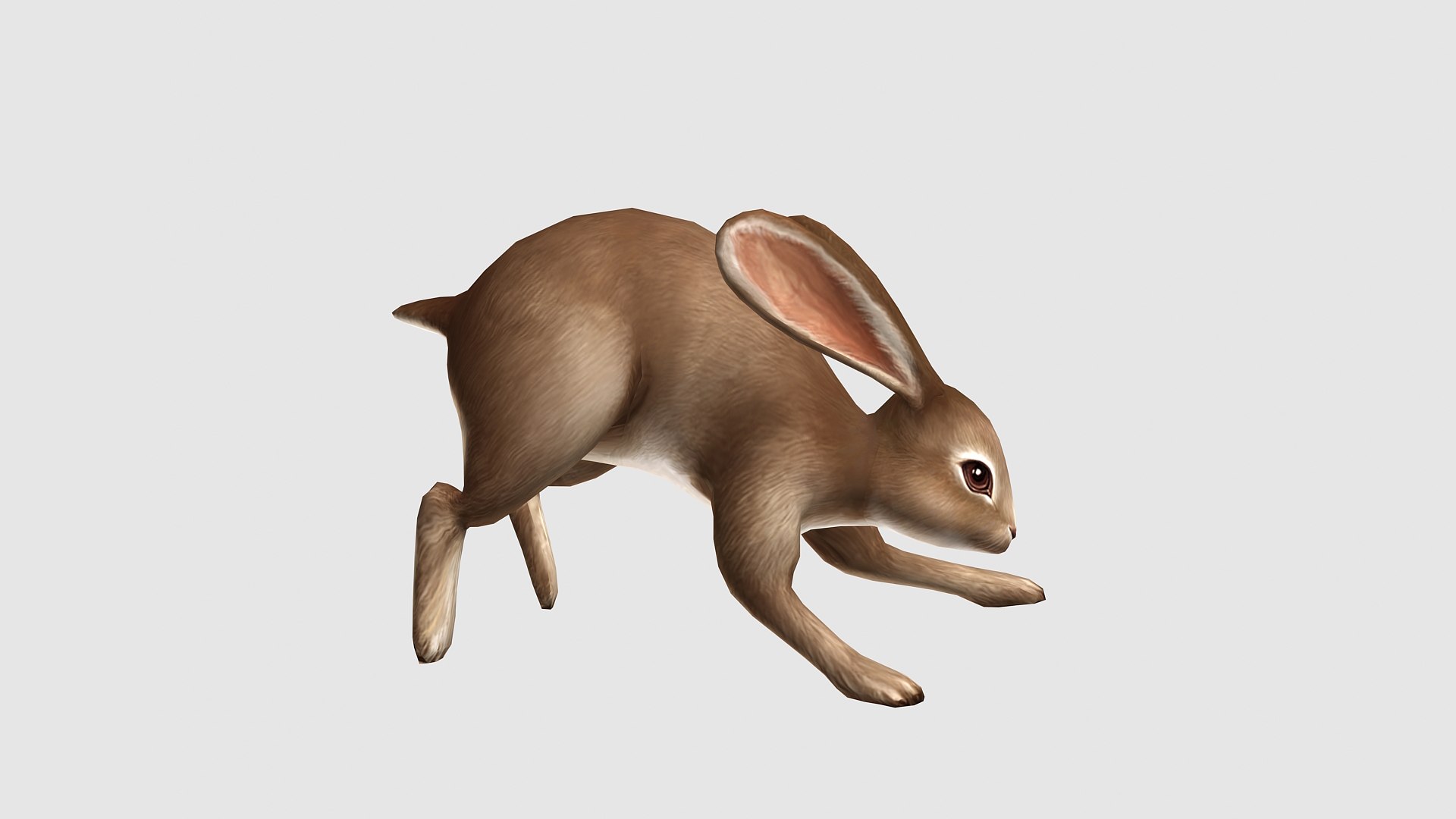 Rabbit 3D model - TurboSquid 2176028