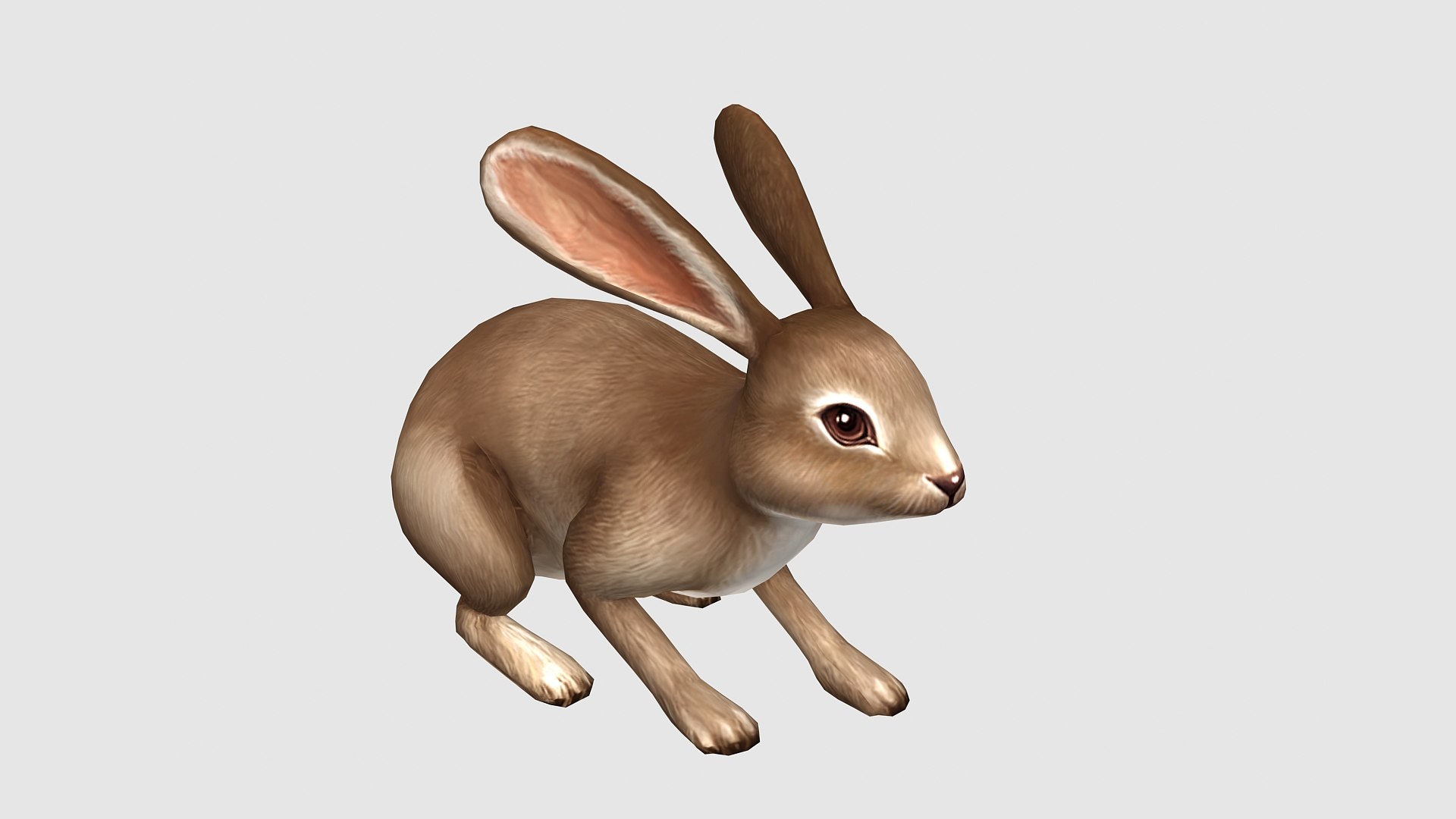 Rabbit 3D model - TurboSquid 2176028