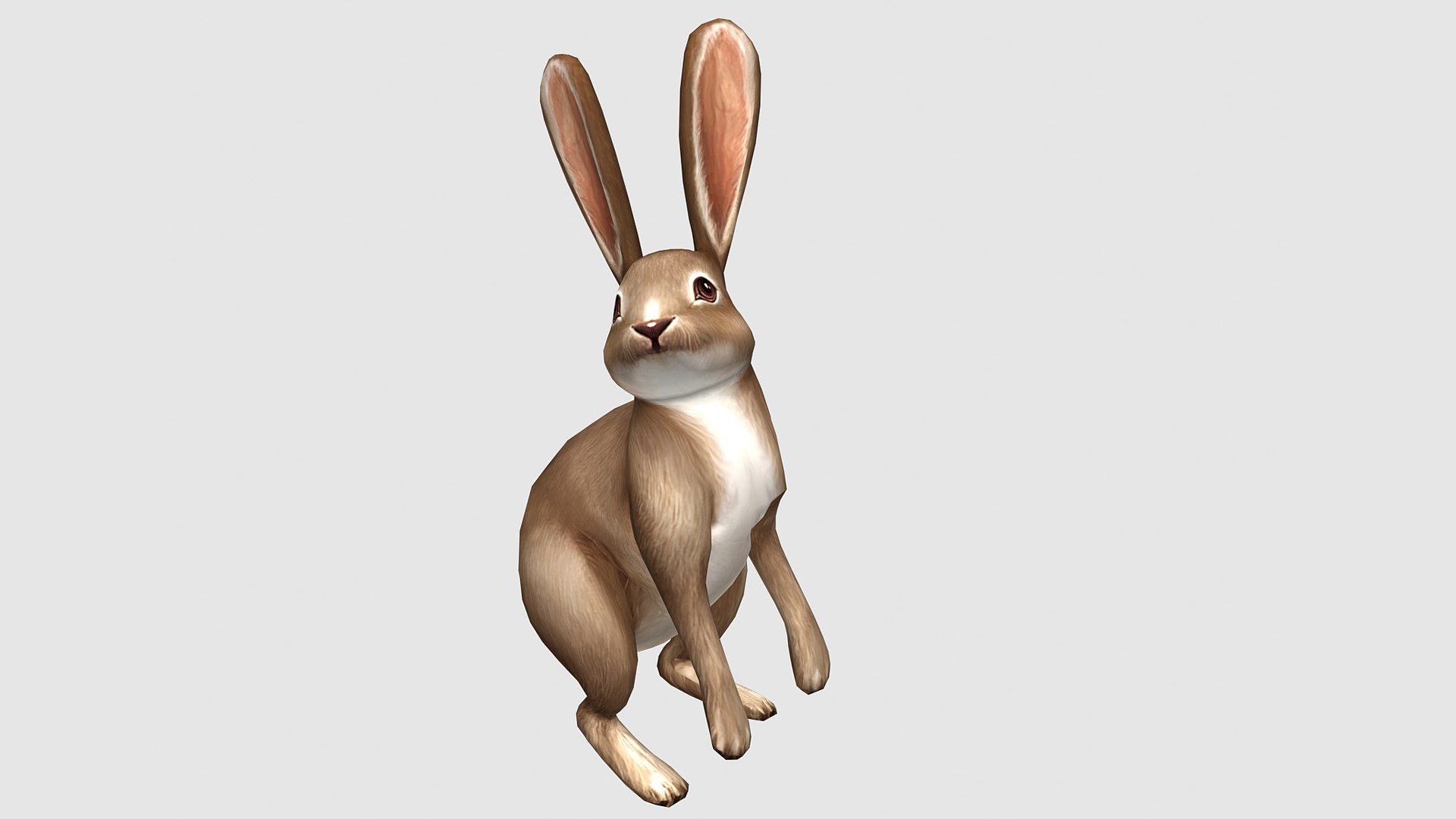 Rabbit 3D model - TurboSquid 2176028