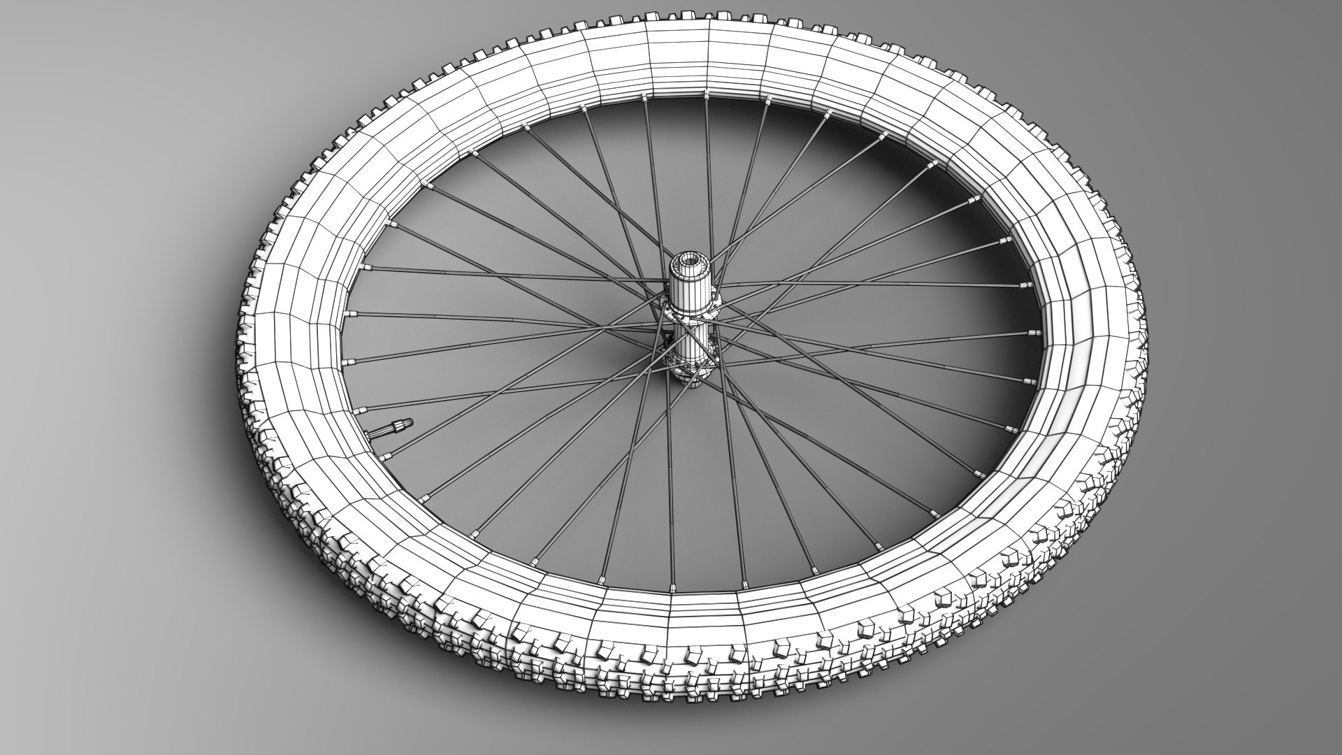 Wheels MTB 3D Model - TurboSquid 2099794