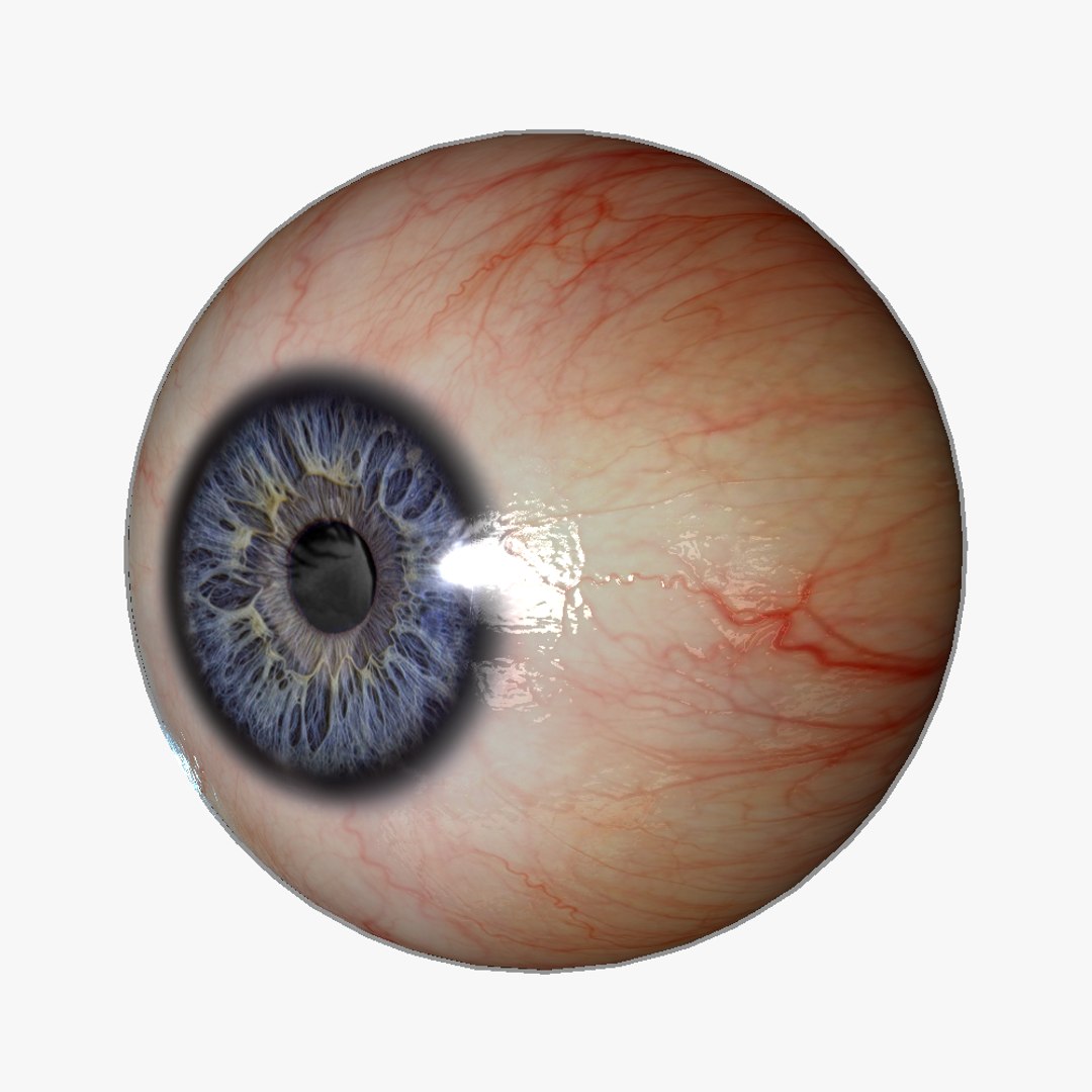 3dsmax man suit characters color