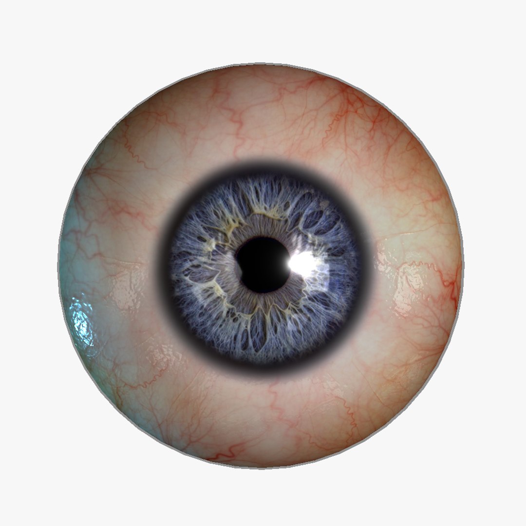 3dsmax man suit characters color