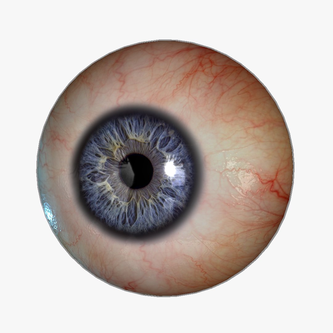 3dsmax man suit characters color