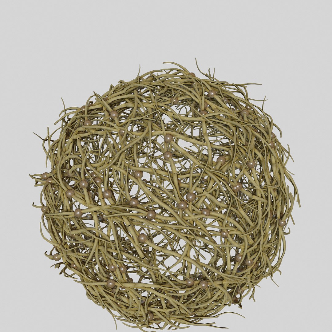 Tumbleweed Stylized 3D Model - TurboSquid 1852225