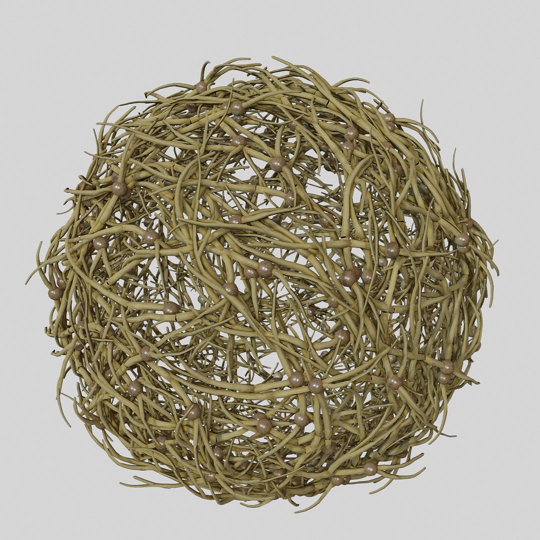 Tumbleweed Stylized 3D Model - TurboSquid 1852225