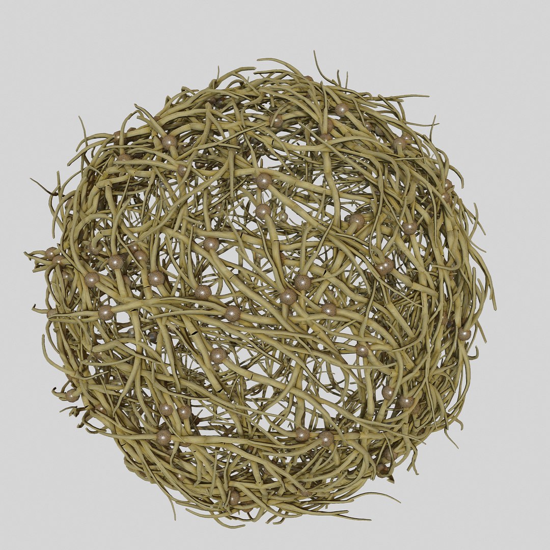 Tumbleweed Stylized 3D Model - TurboSquid 1852225