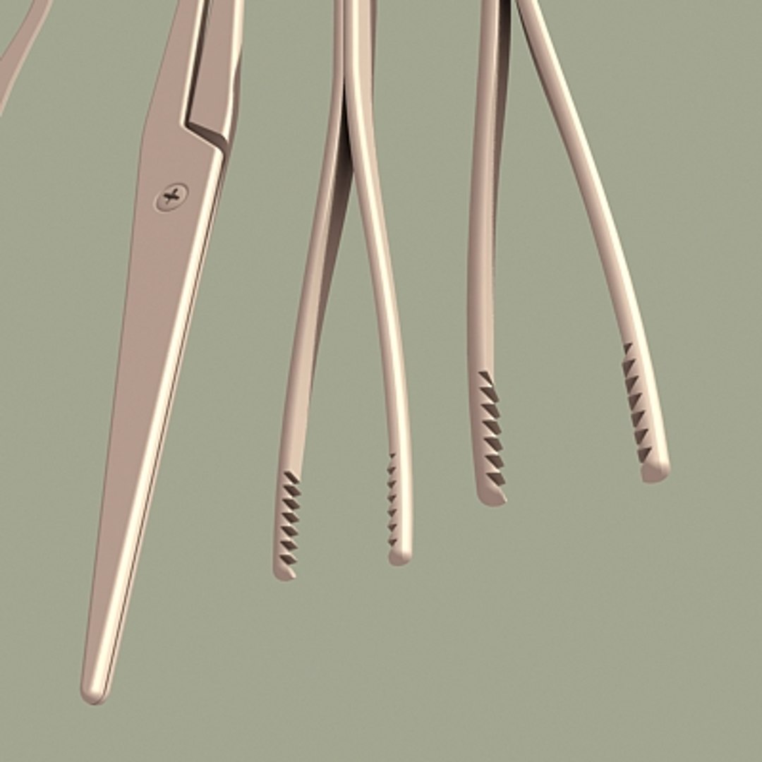 3d Tools Autopsy Model