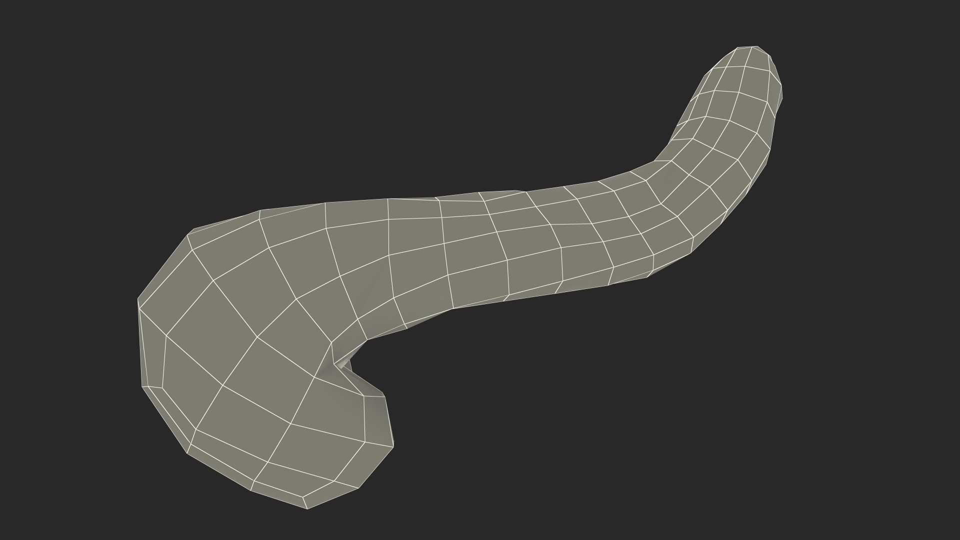 Human Pancreas Model - TurboSquid 1469285