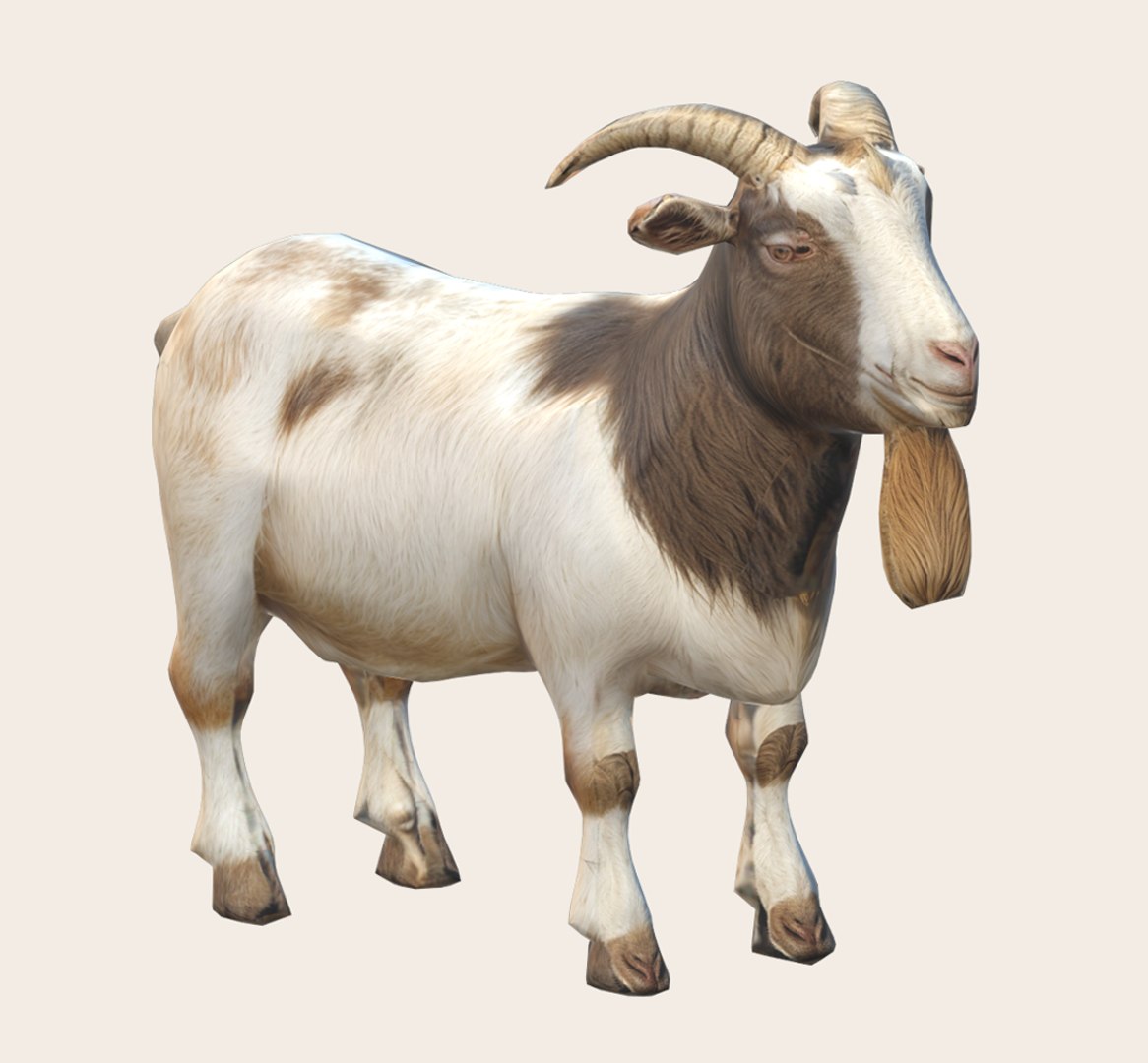 3D Model Goat - TurboSquid 2218988