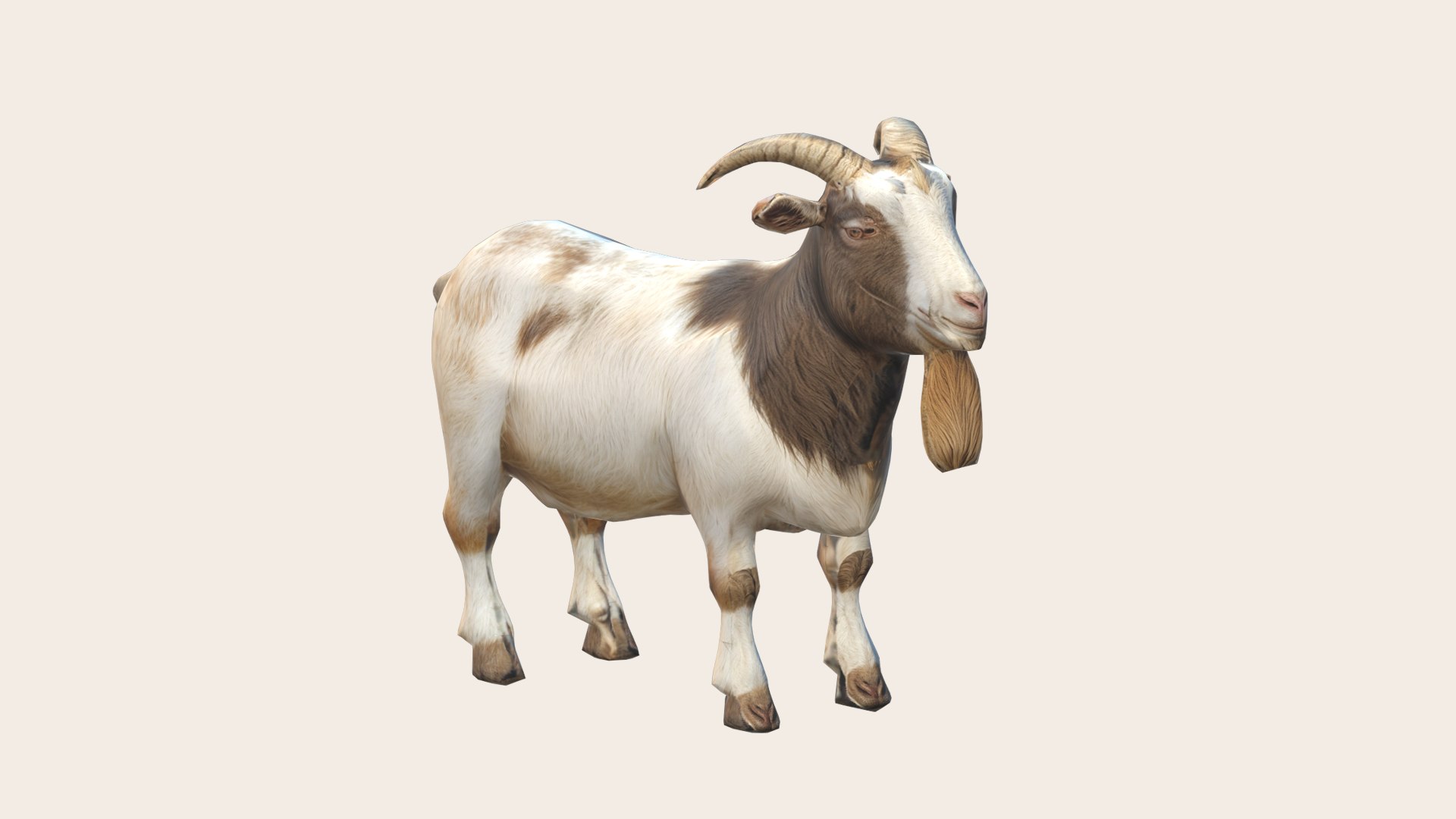 3D Model Goat - TurboSquid 2218988