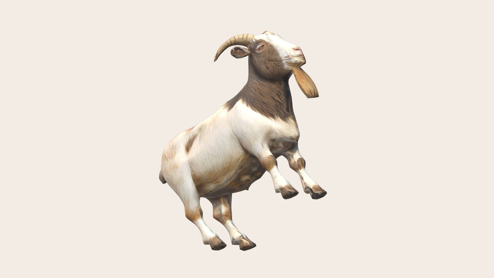 3D Model Goat - TurboSquid 2218988