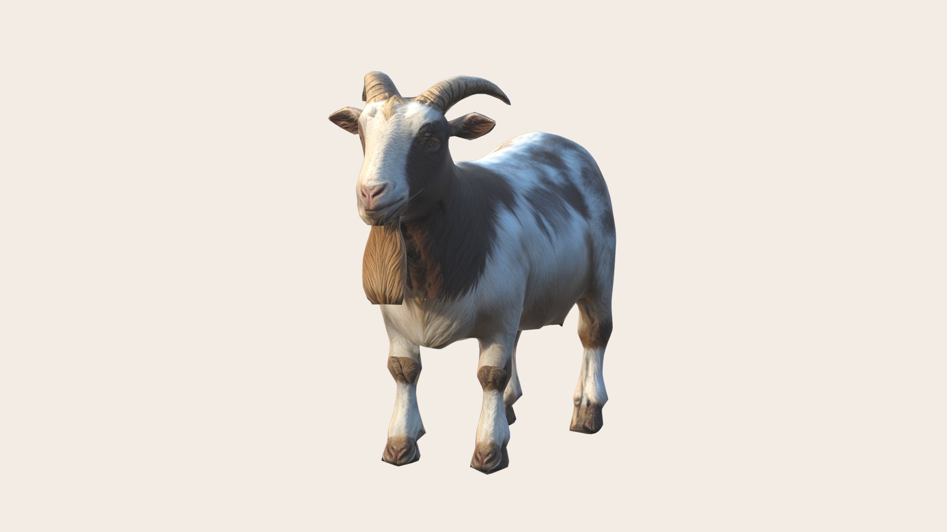3D Model Goat - TurboSquid 2218988