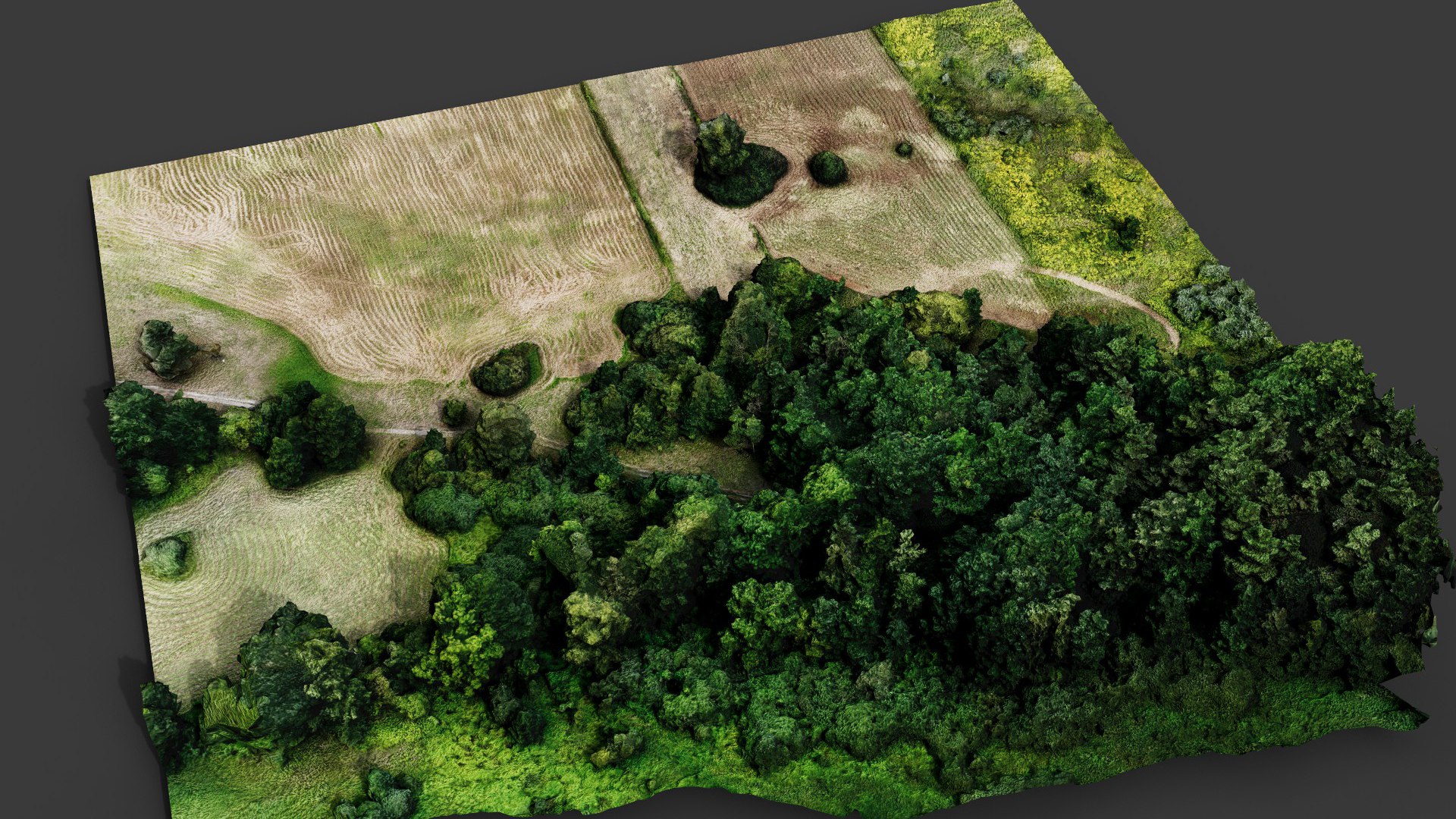 3D Model Trees Terrain Forest Fields Landscape Dronescan Part5 ...