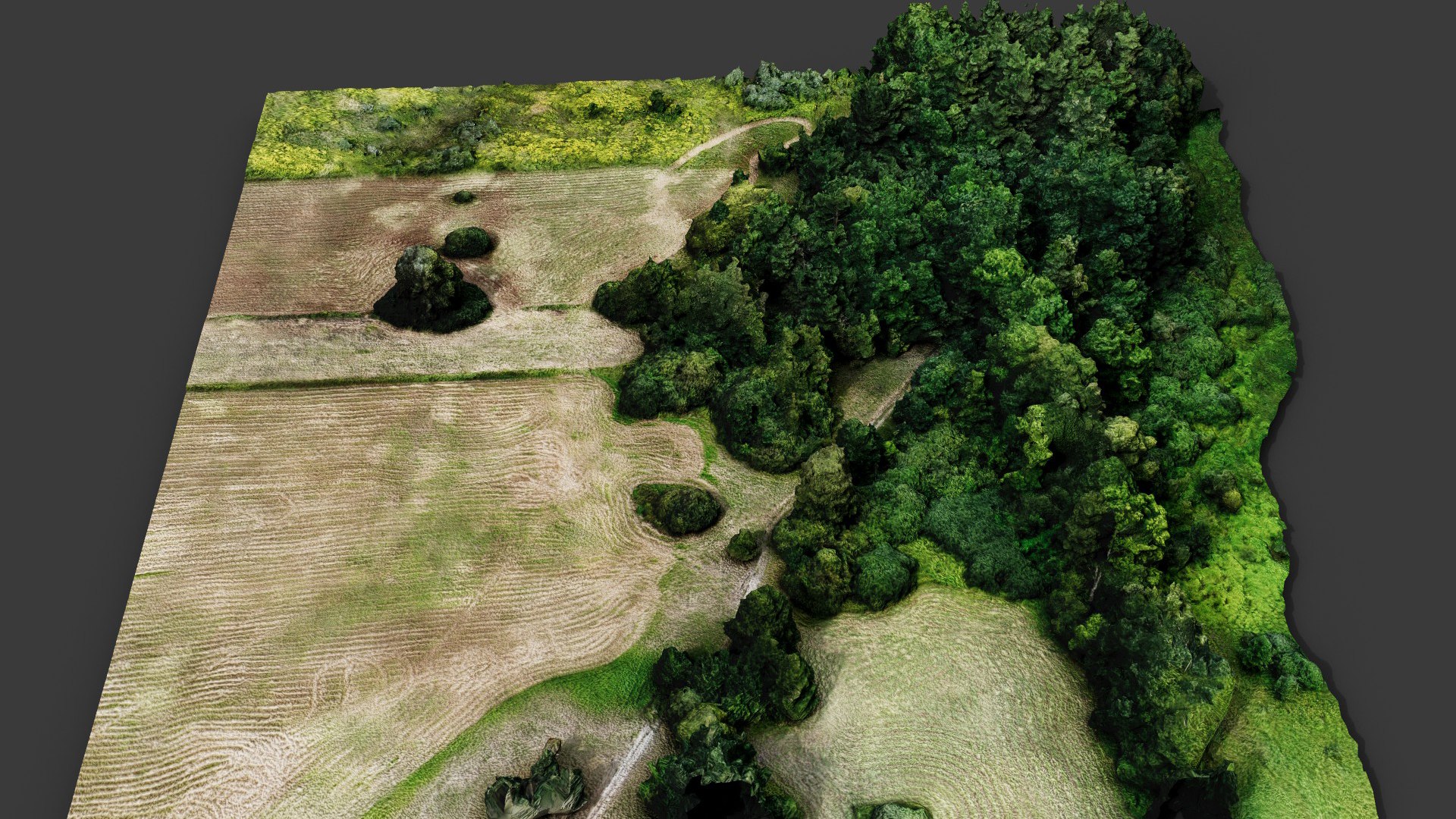 3D Model Trees Terrain Forest Fields Landscape Dronescan Part5 ...