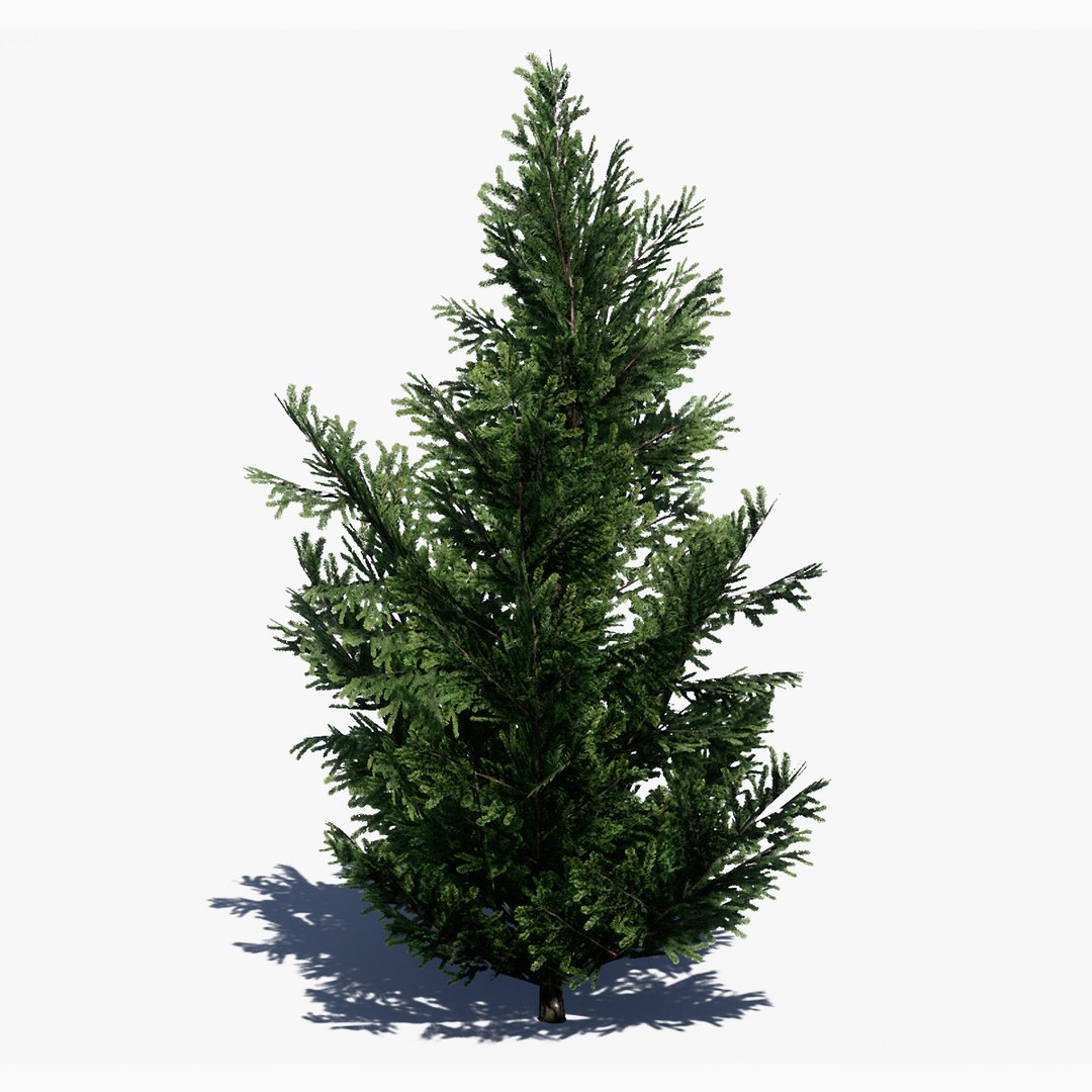 3D Pine Tree Pack - TurboSquid 1205923