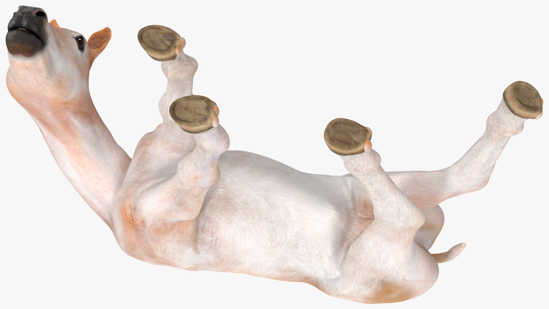 Shetland Pony In Grazing Pose 3D Model - TurboSquid 2239729