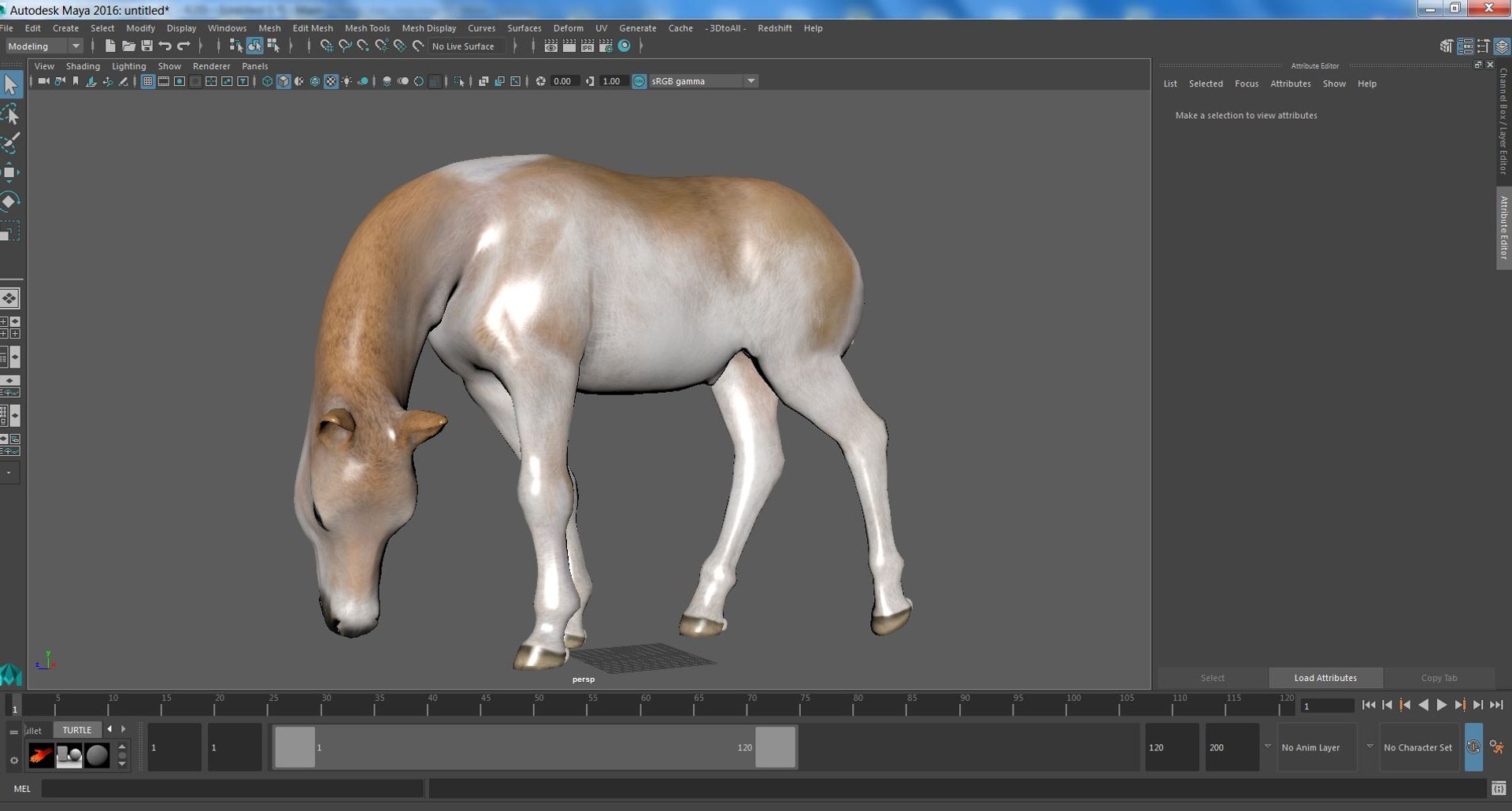 Shetland Pony In Grazing Pose 3D Model - TurboSquid 2239729