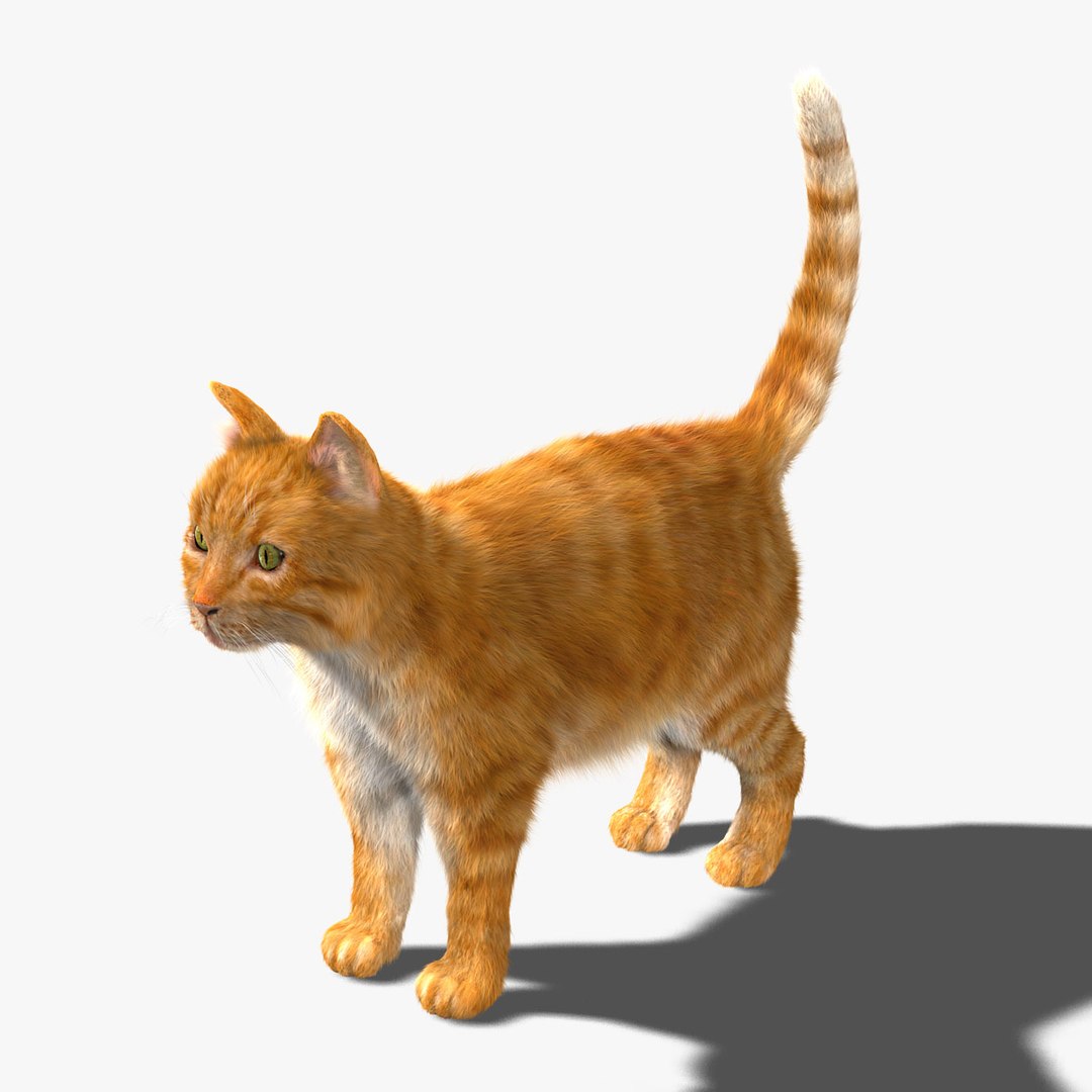 3d Model Cat Orange Tabby Fur