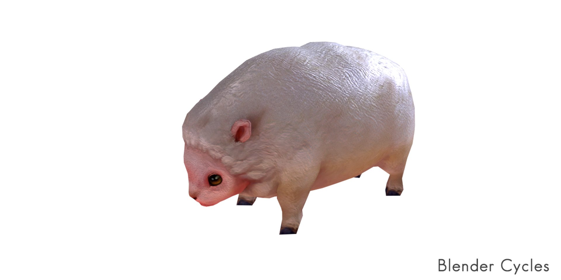 Sheep Blender 3d 3ds