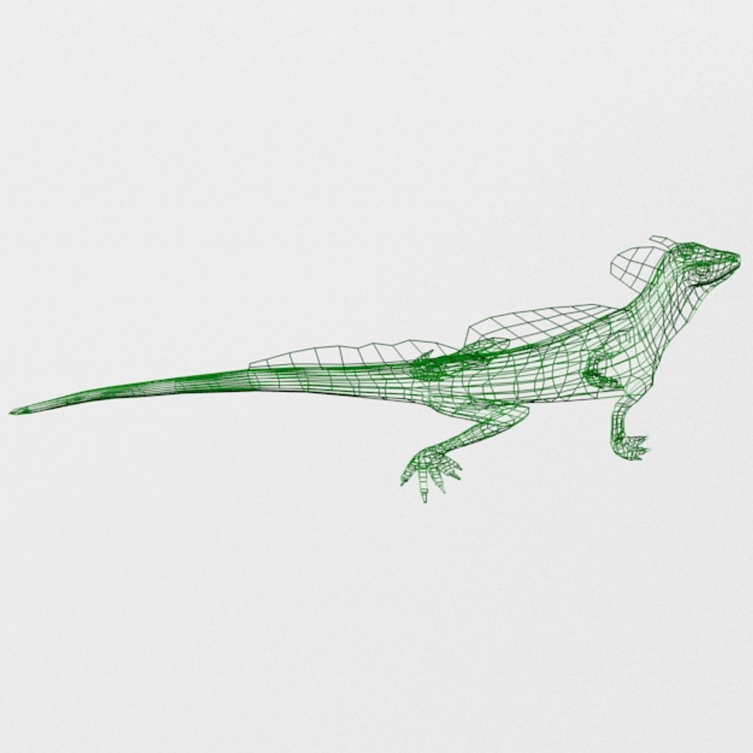 3D Common Basilisk - TurboSquid 1364354