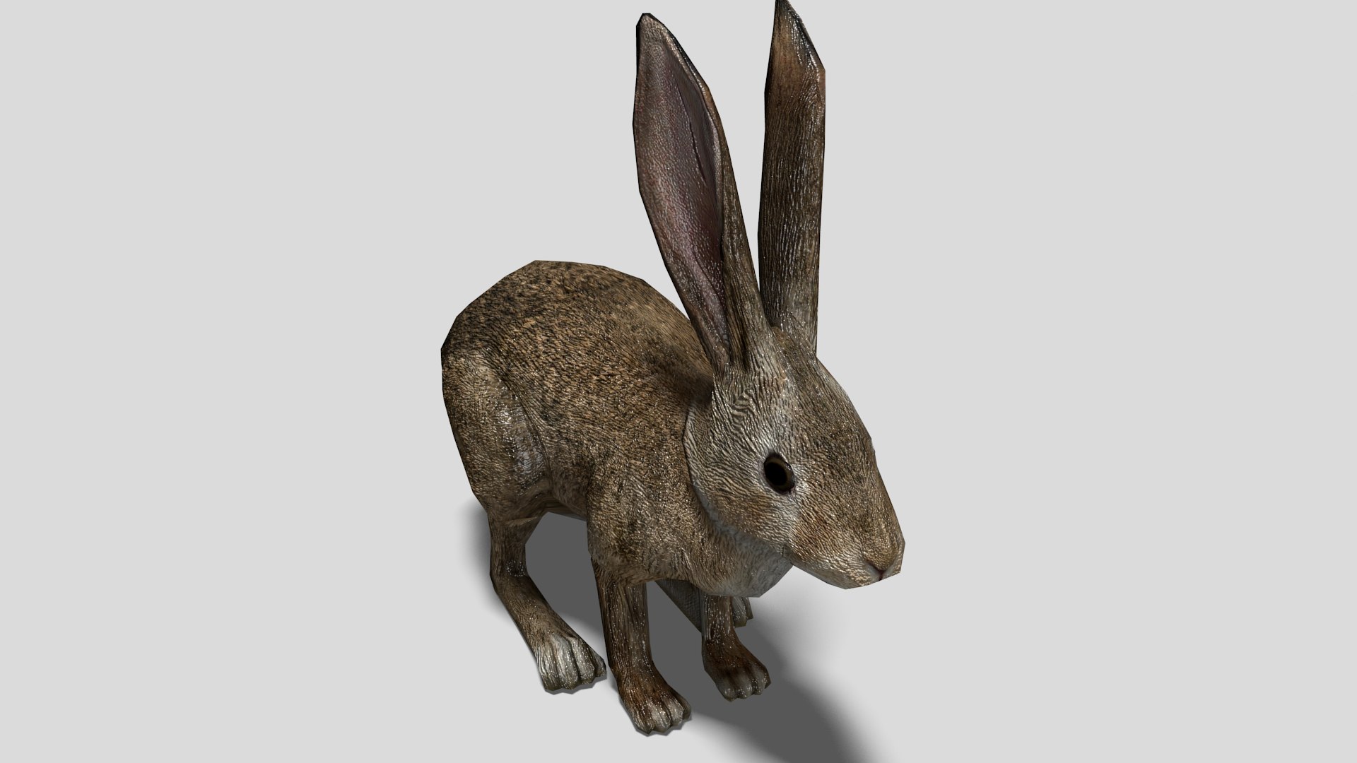 Rabbit blender 3D model - TurboSquid 1331848