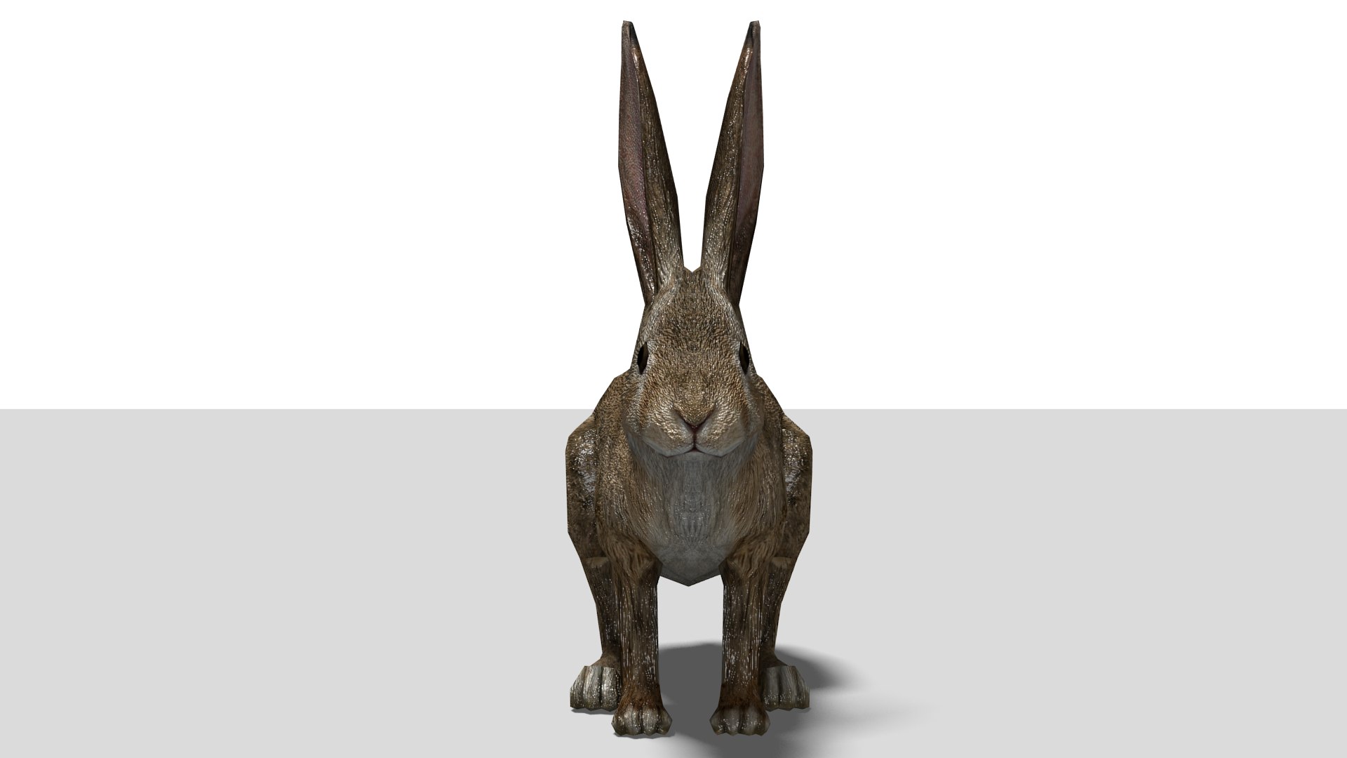Rabbit blender 3D model - TurboSquid 1331848