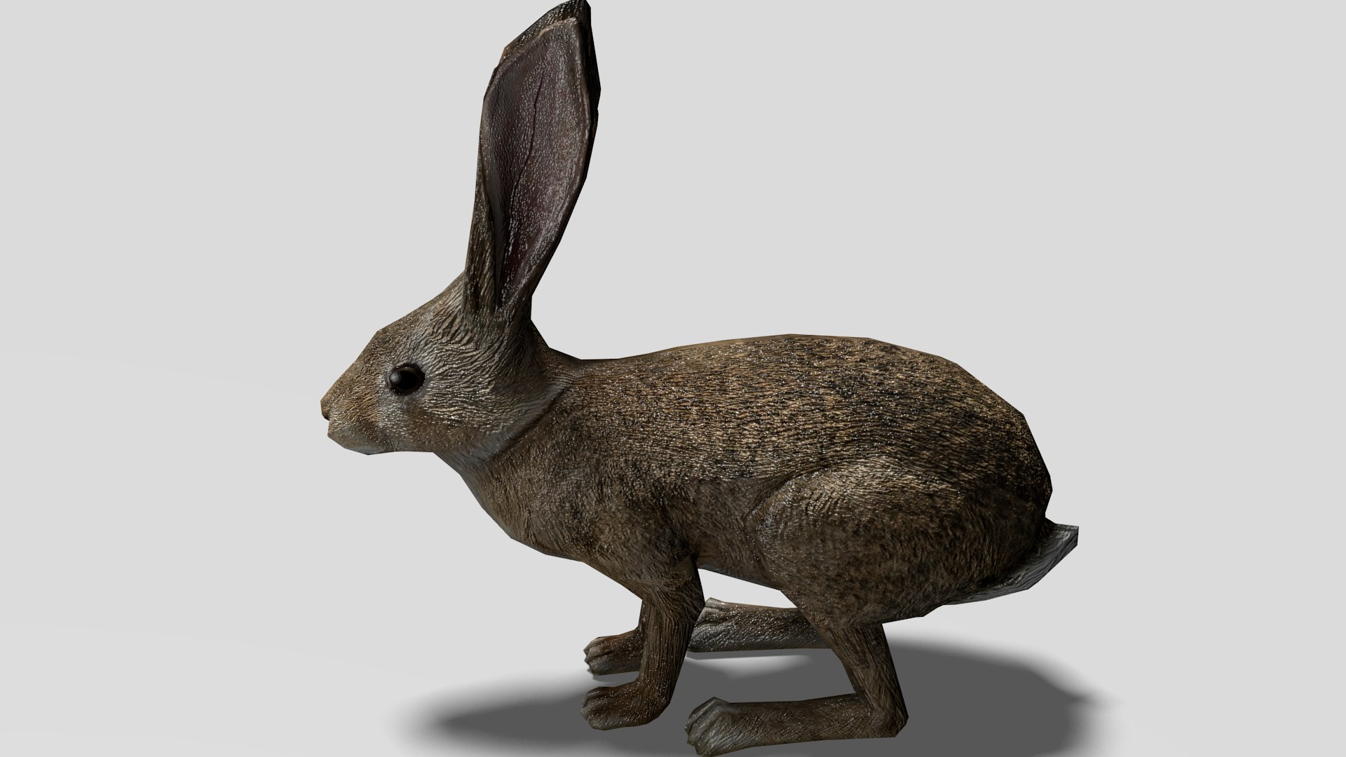 Rabbit blender 3D model - TurboSquid 1331848