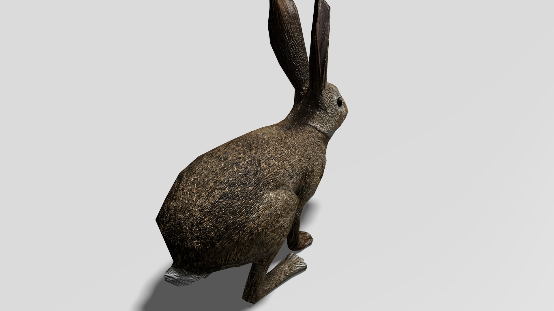 Rabbit blender 3D model - TurboSquid 1331848