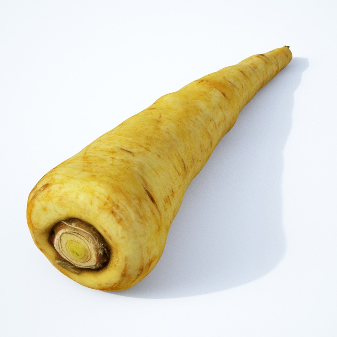 Parsnip vegetable 3D - TurboSquid 1445366