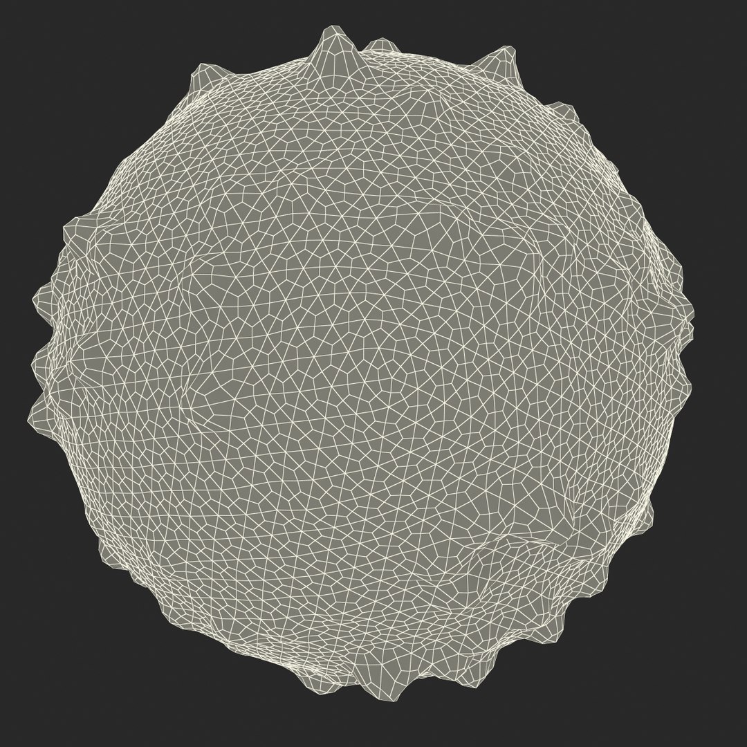 White Blood Cell 3d Model