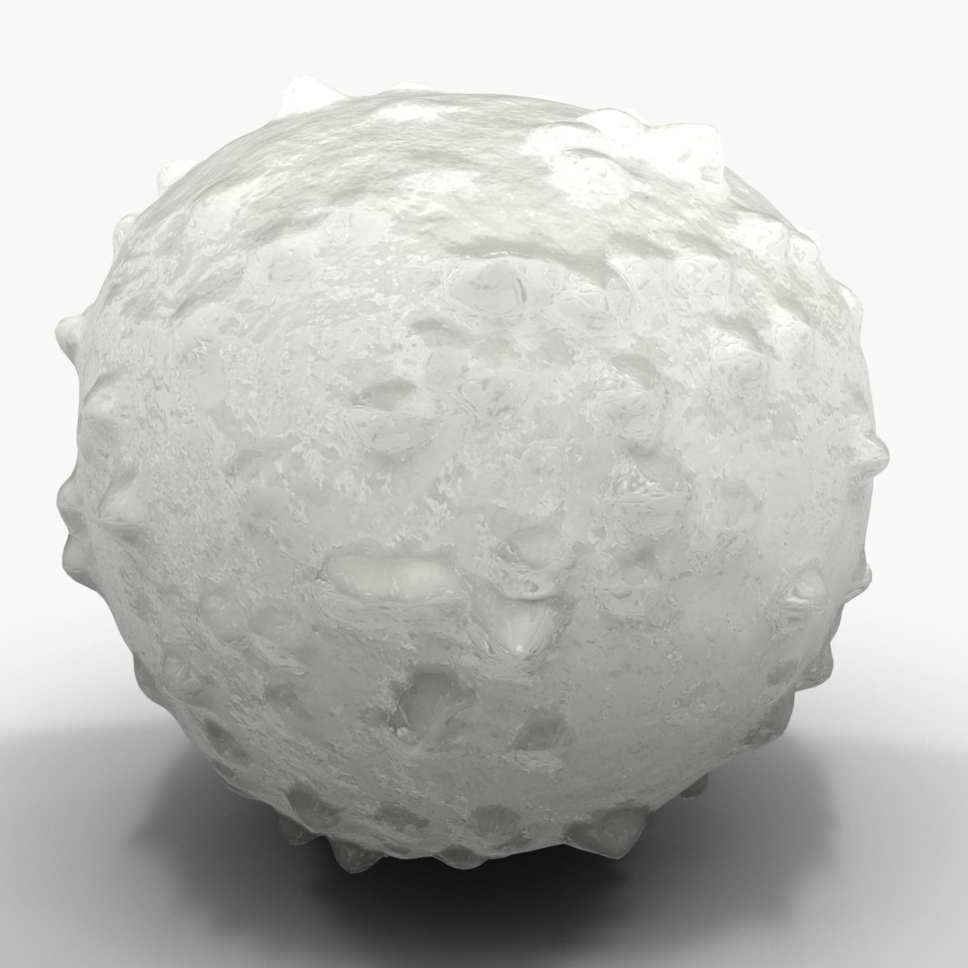 White Blood Cell 3d Model