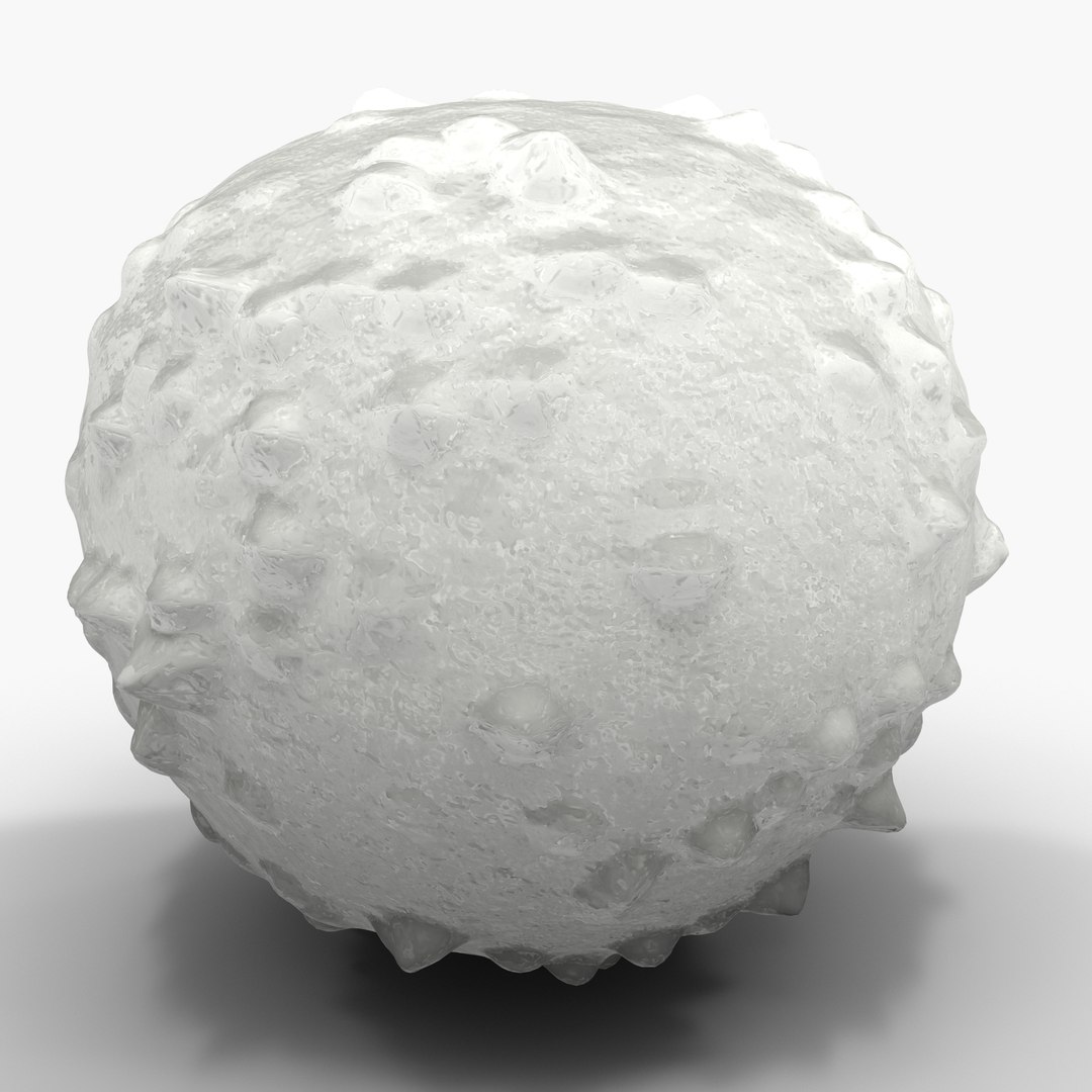 White Blood Cell 3d Model