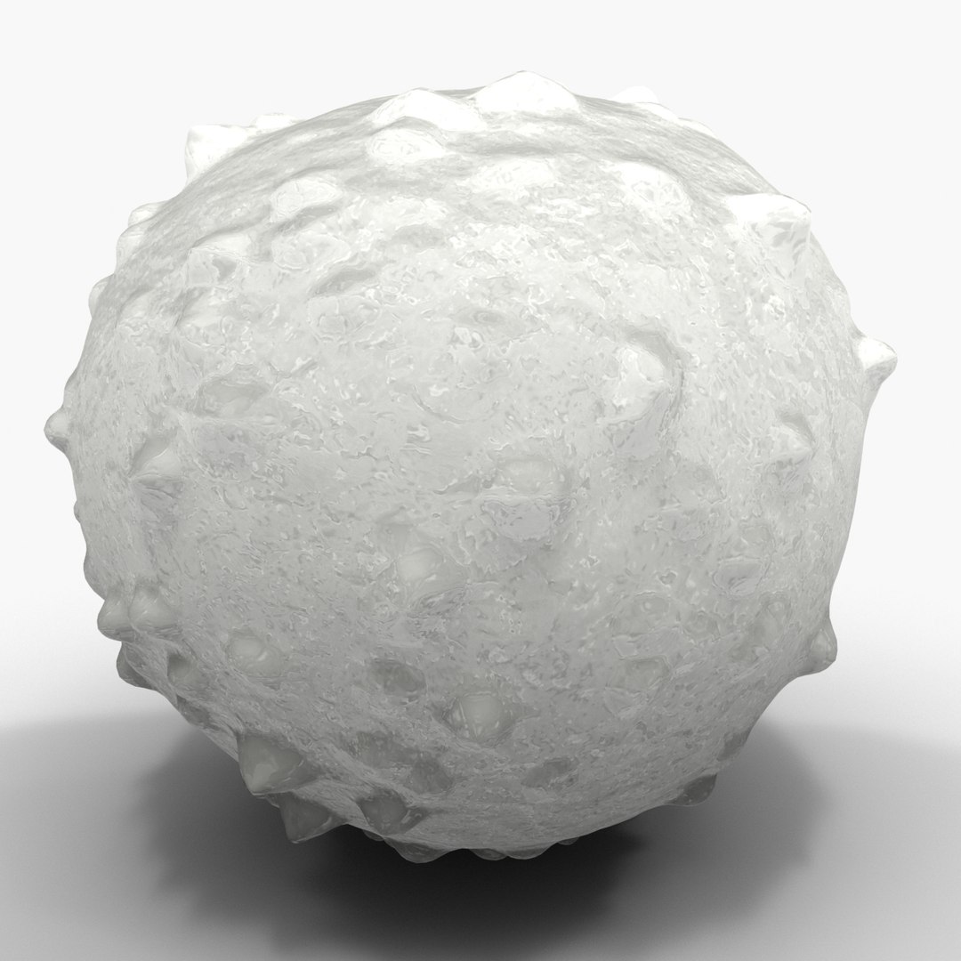 White Blood Cell 3d Model