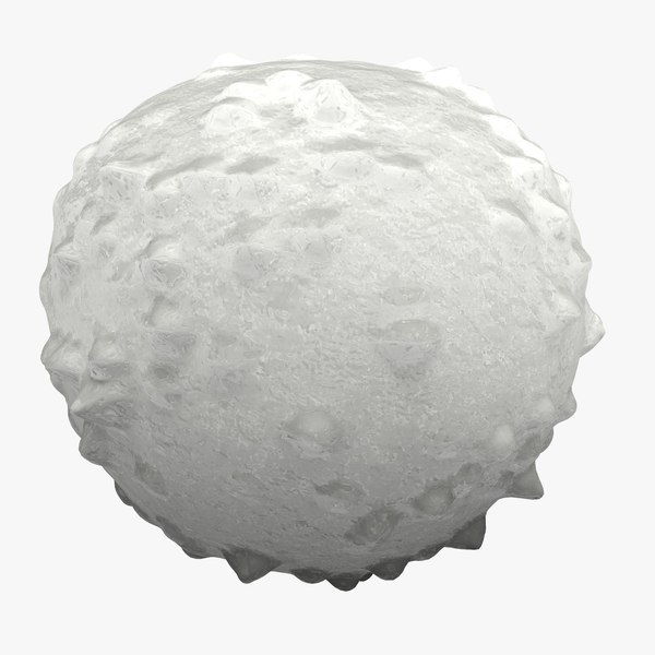 white blood cell 3d model
