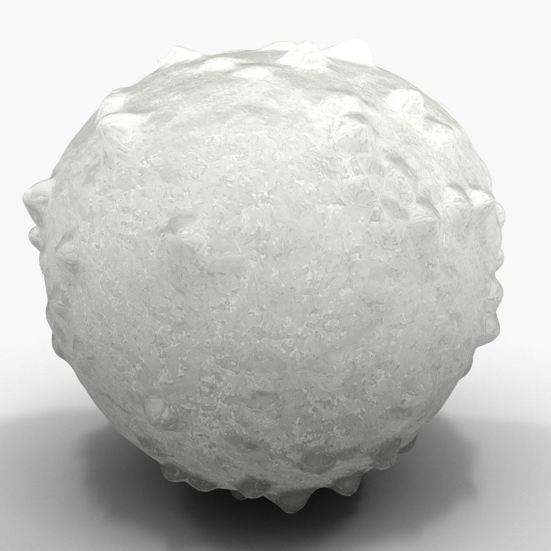 White Blood Cell 3d Model