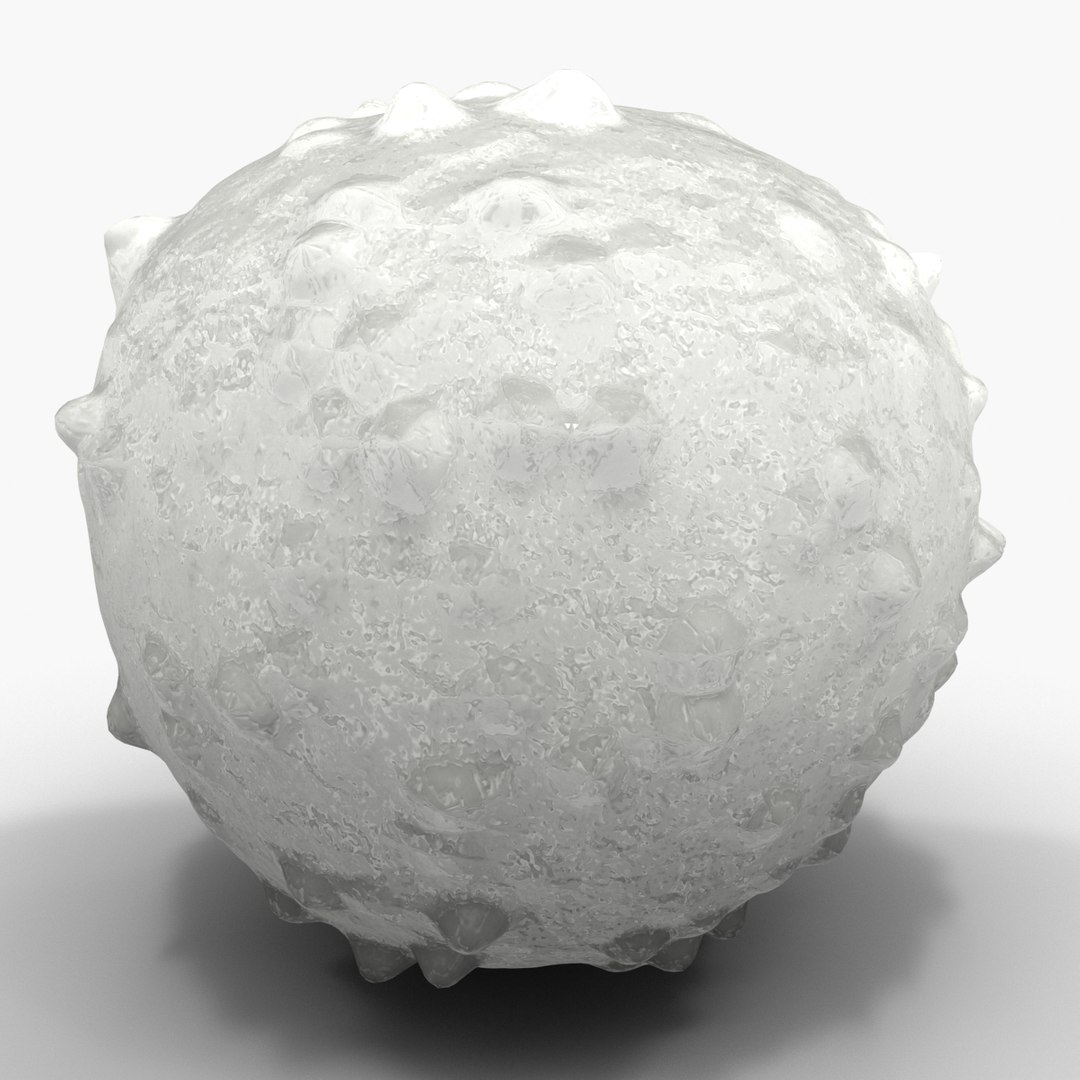 White Blood Cell 3d Model