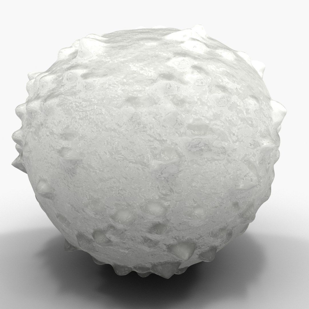 White Blood Cell 3d Model