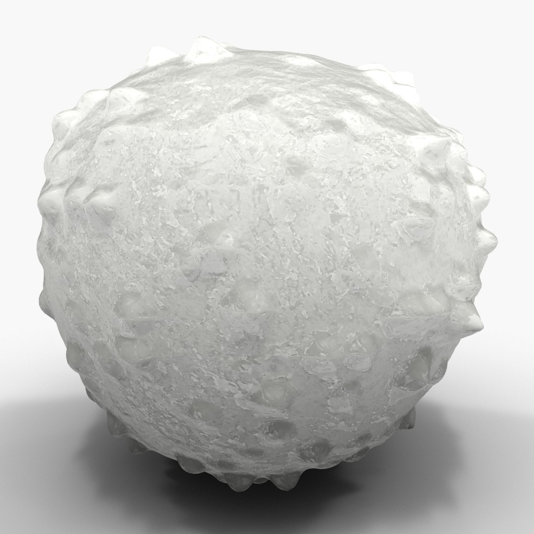 White Blood Cell 3d Model