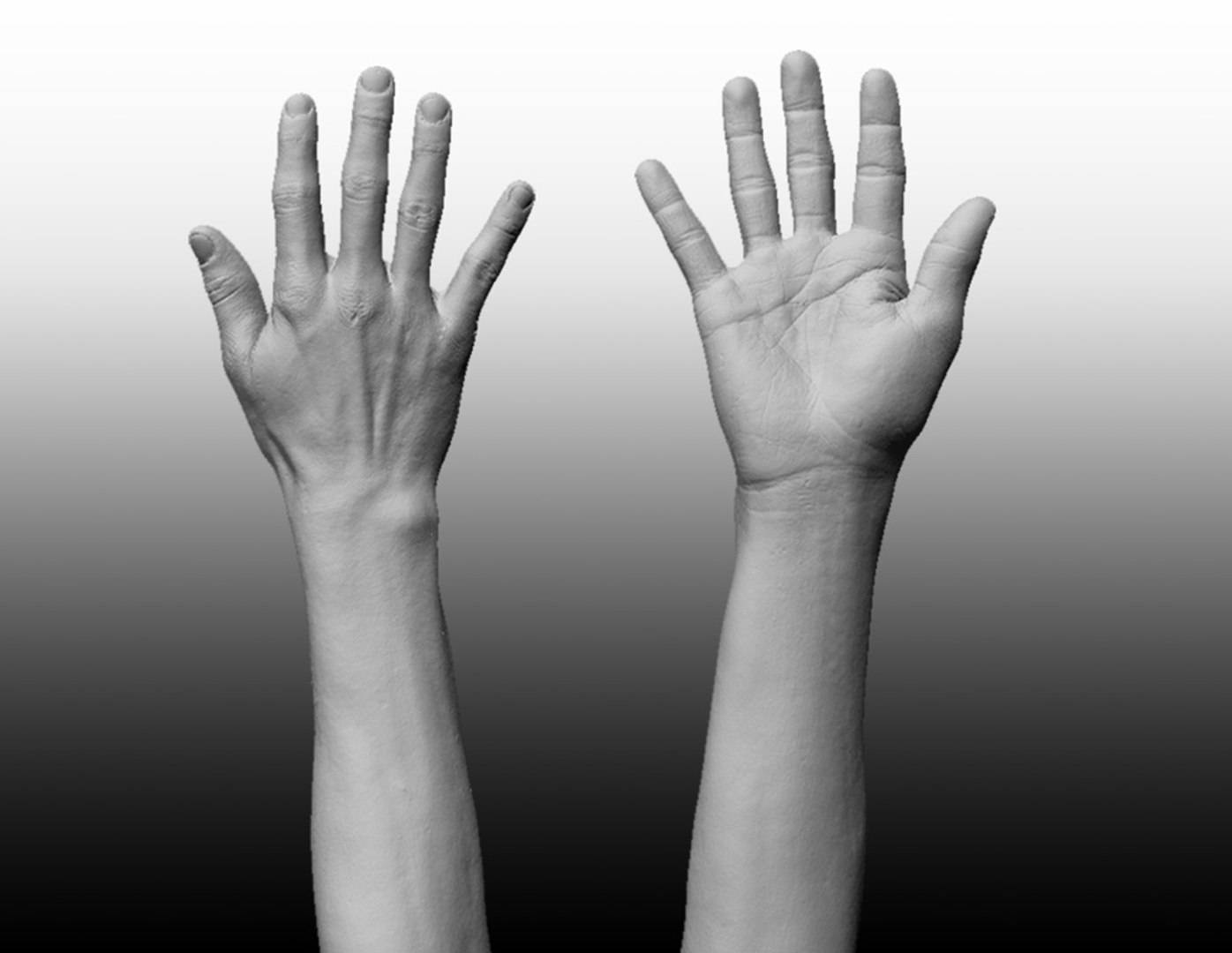 Resolution Scan Male Arm Obj