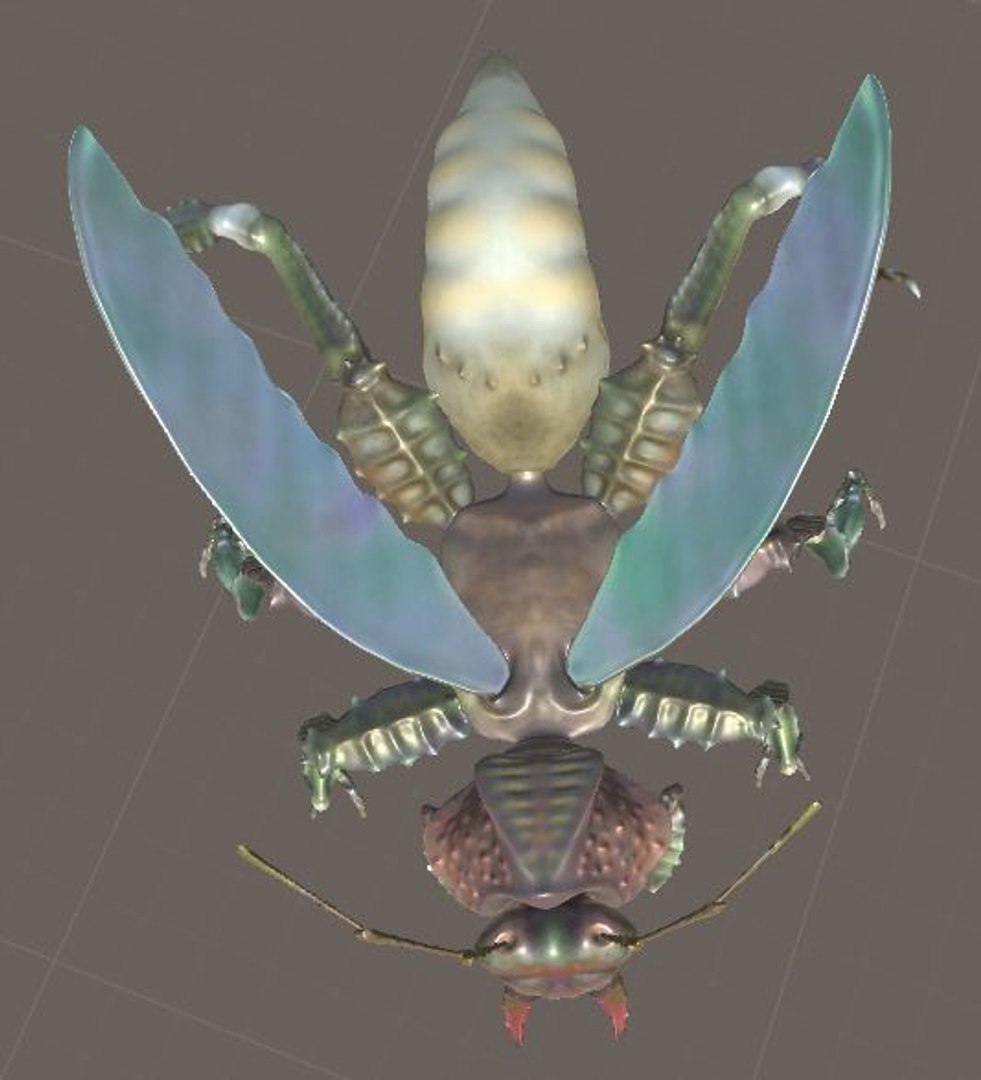 Mutated Beetle Ant Mantis Model - TurboSquid 1235883