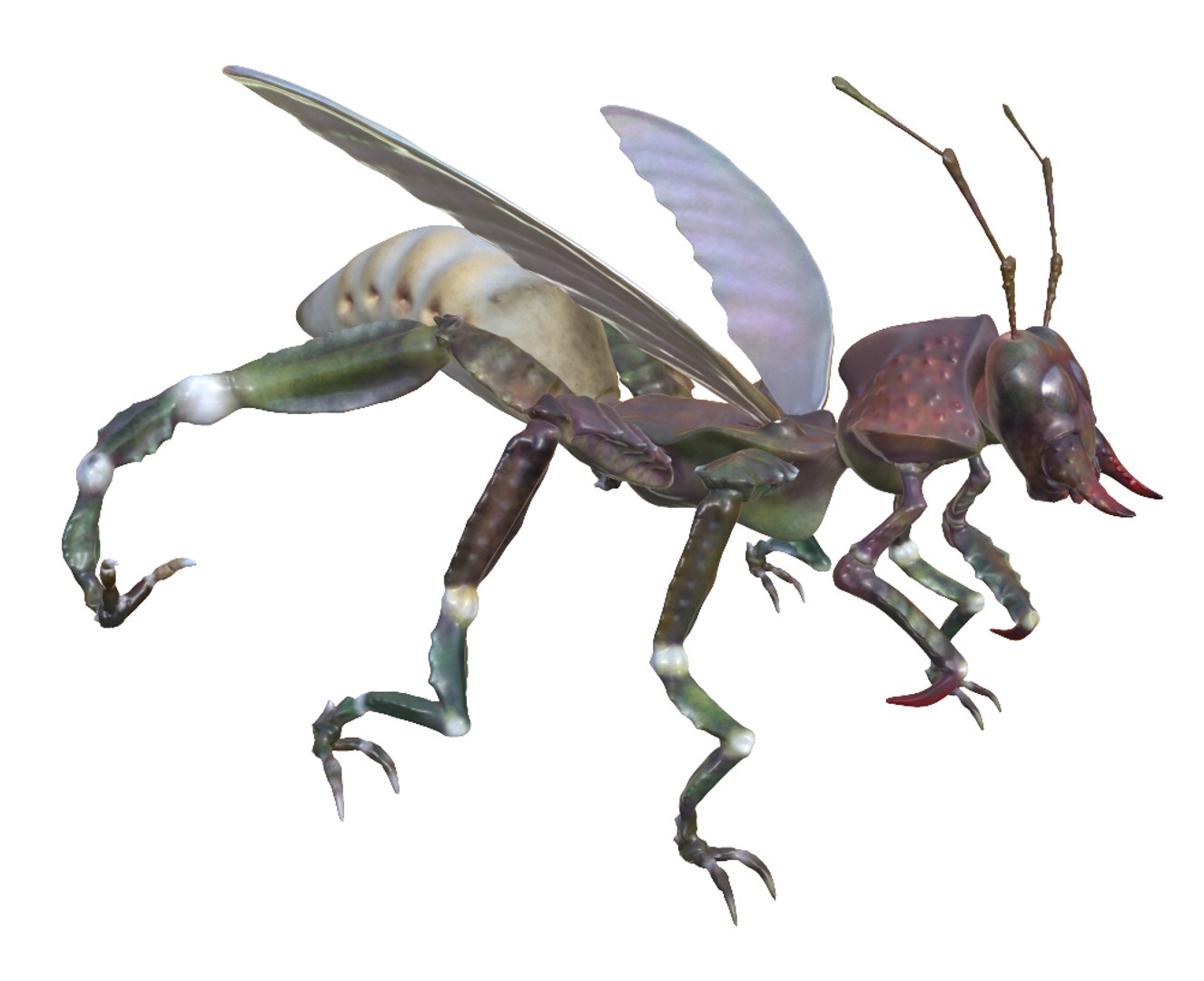 Mutated Beetle Ant Mantis Model - TurboSquid 1235883