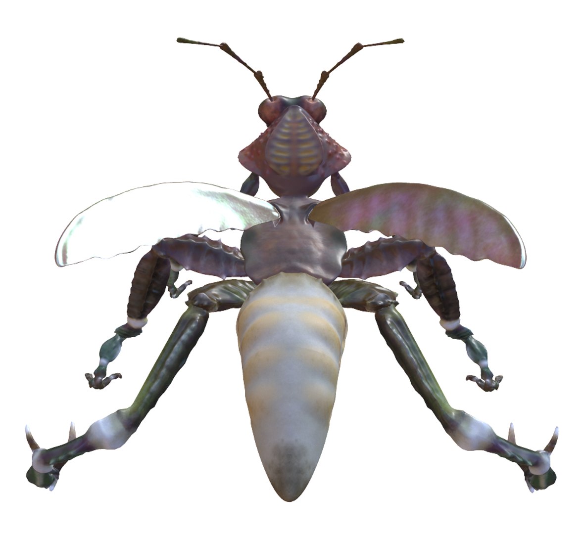 Mutated Beetle Ant Mantis Model - TurboSquid 1235883