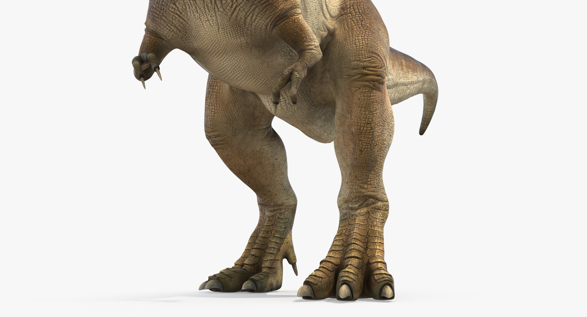 Tyrannosaurus Rex Walking Max