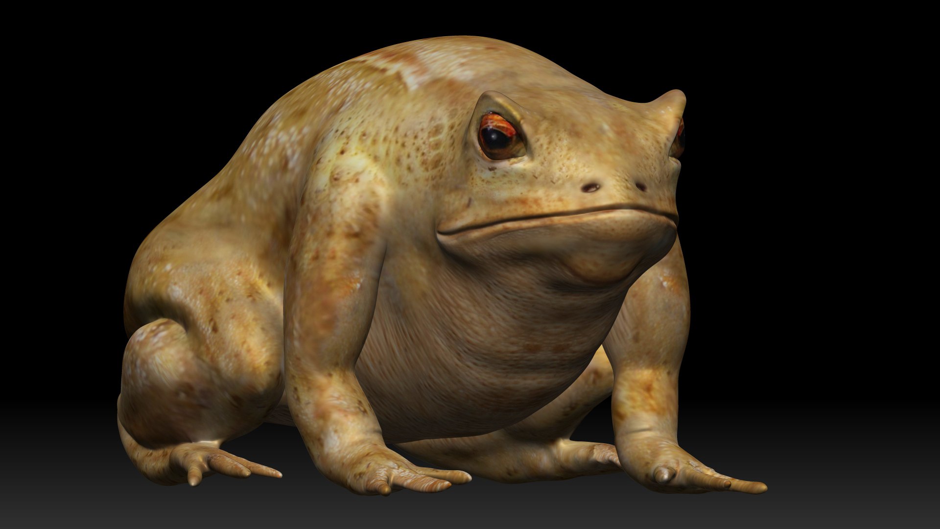 Cane Toad Frog Bullfrog 3D Model - TurboSquid 1733582
