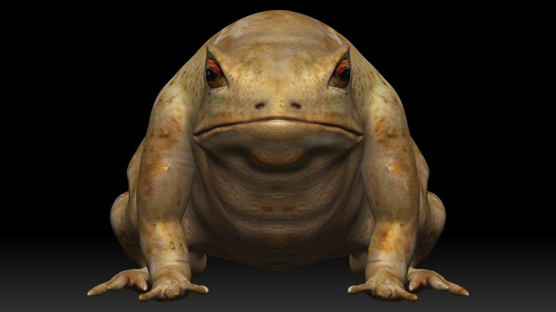 Cane Toad Frog Bullfrog 3D Model - TurboSquid 1733582