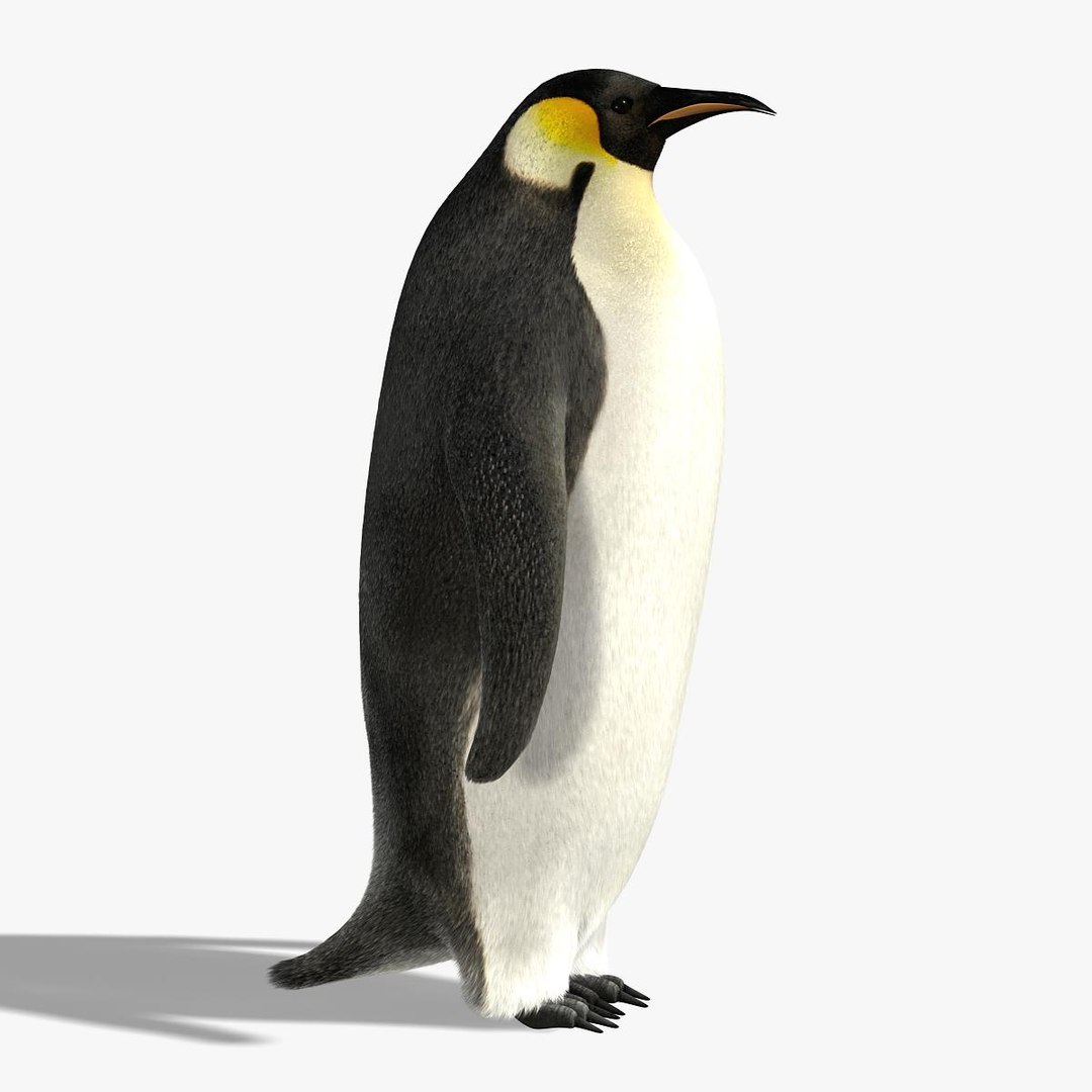 3d Penguin Fur Model