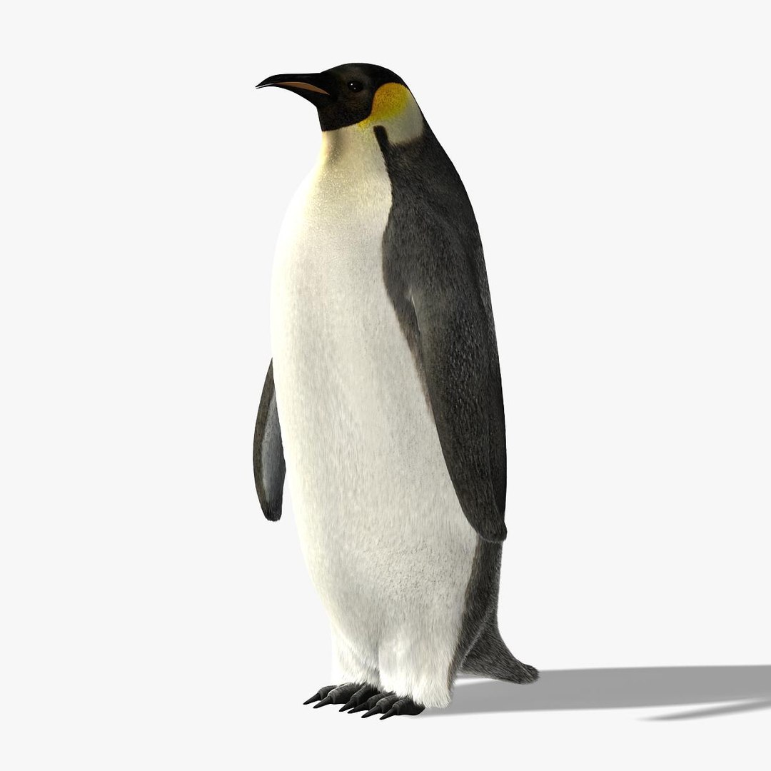 3d Penguin Fur Model