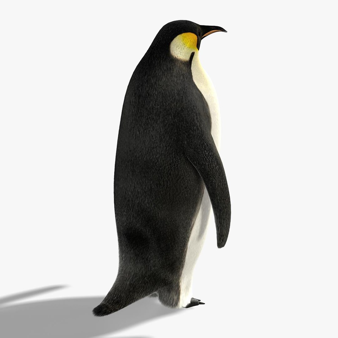 3d Penguin Fur Model