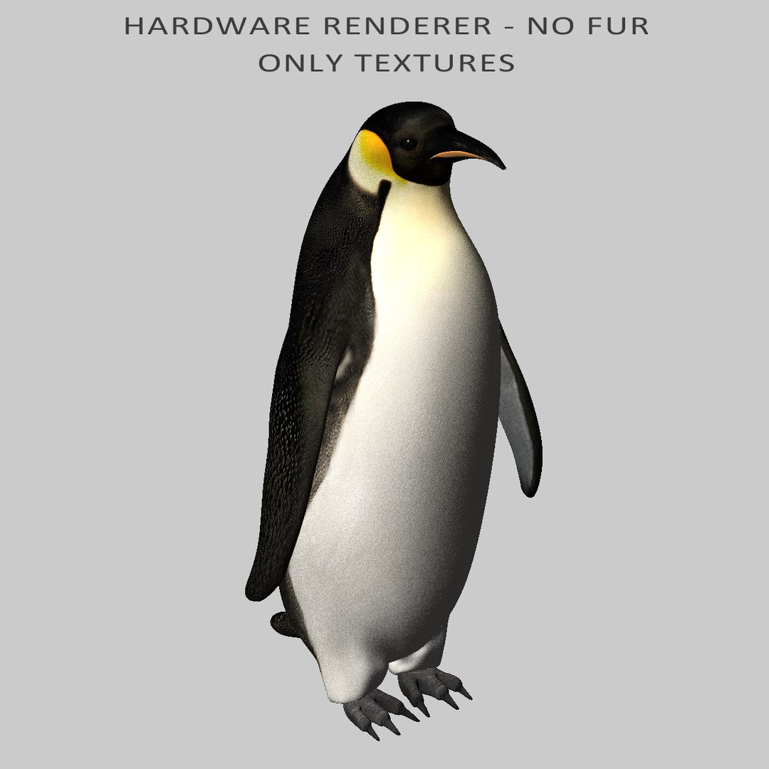 3d Penguin Fur Model