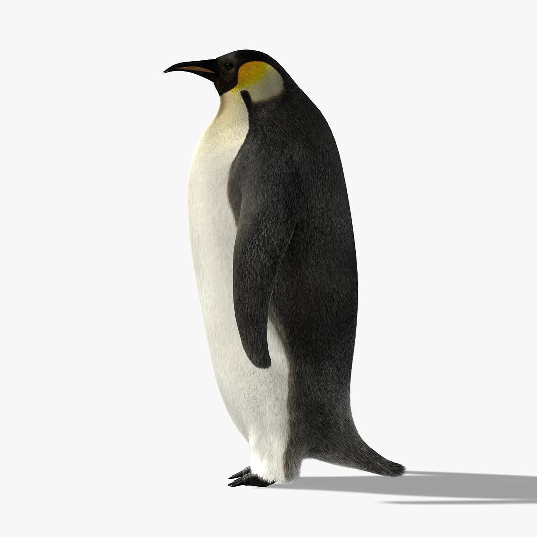 3d Penguin Fur Model